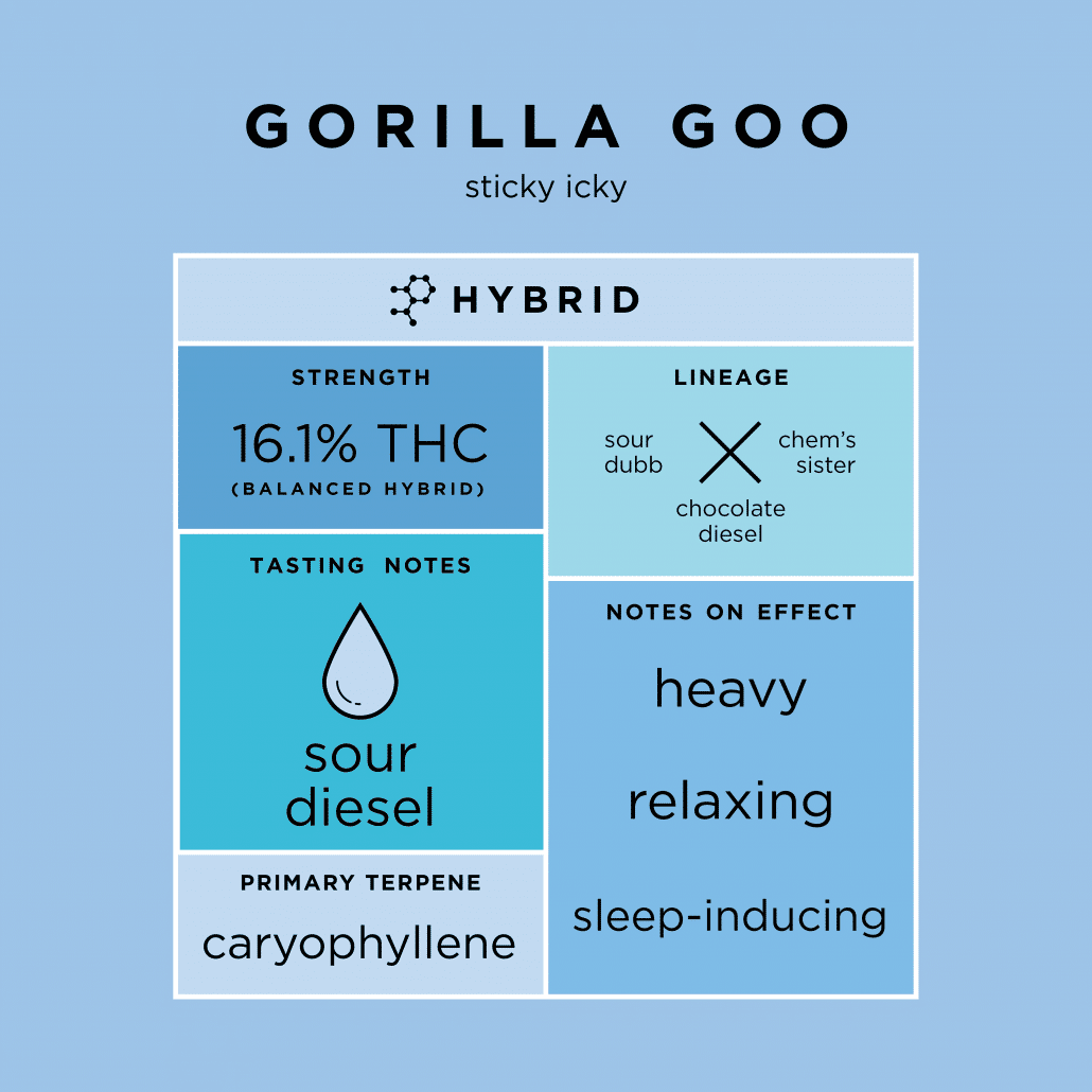 GORILLA GOO - Cannabis Strains - THC Design Cannabis Cultivator