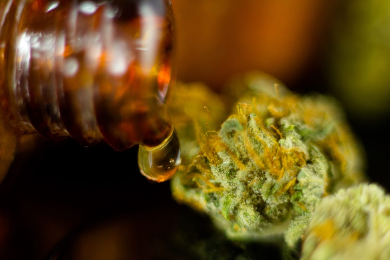 What Is Live Resin? How to Consume Live Resin | THC Design